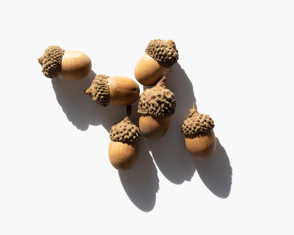 From The Acorn Grows The Oak | Kindred Black