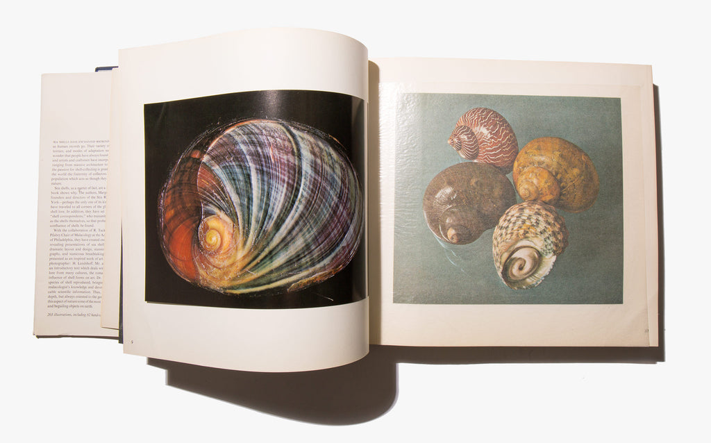 The Shell - Hugh and Marguerite Stix and R. Tucker Abbott | Kindred Black