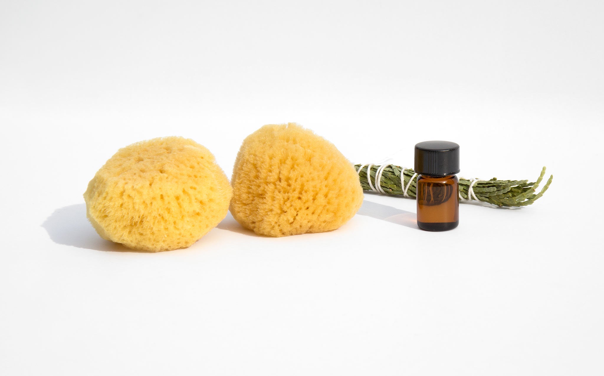 Holy Sponge Ritual Moon Kit | Kindred Black