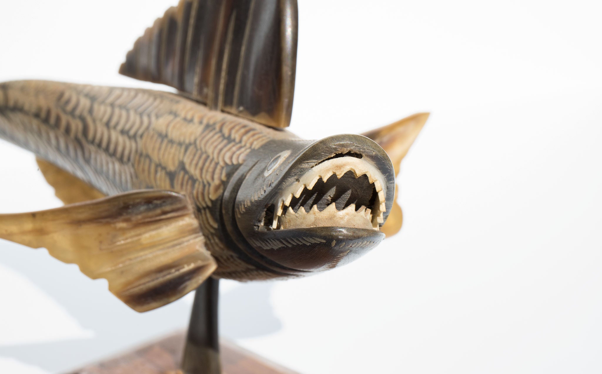 Bone Fish Sculpture | Kindred Black