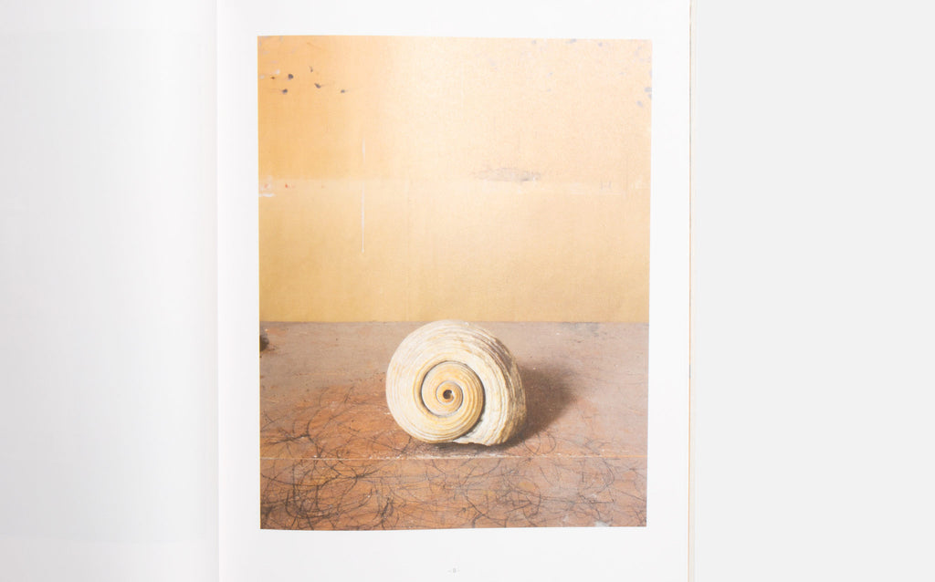 Morandi's Objects - Joel Meyerowitz | Kindred Black