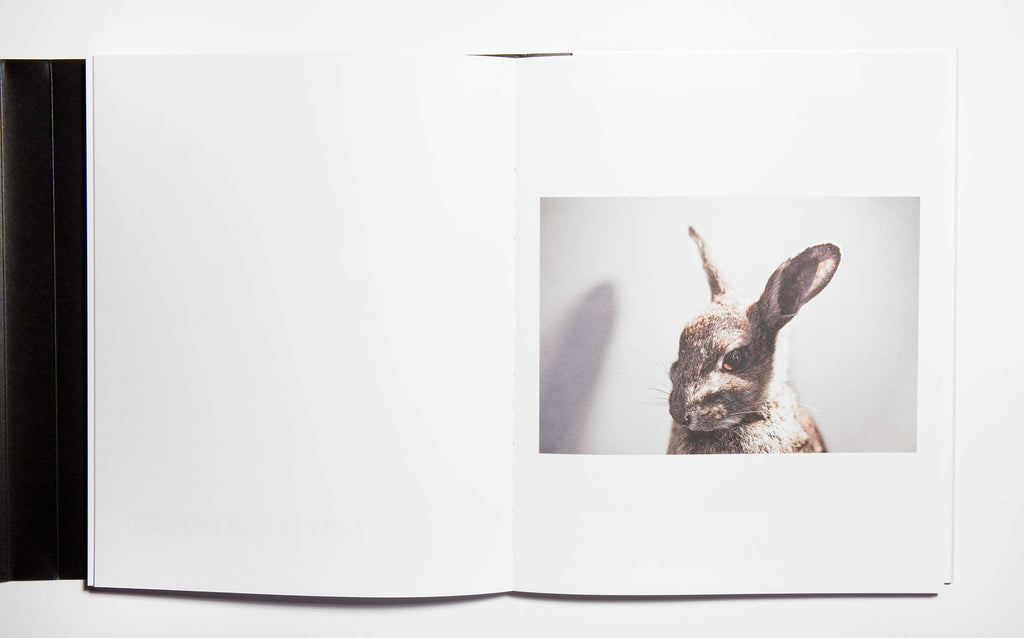 The Swamp – Sofia Borges | Kindred Black